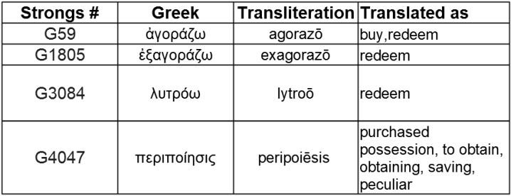 Redemption – A Story – Part 2 – Considering the Bible