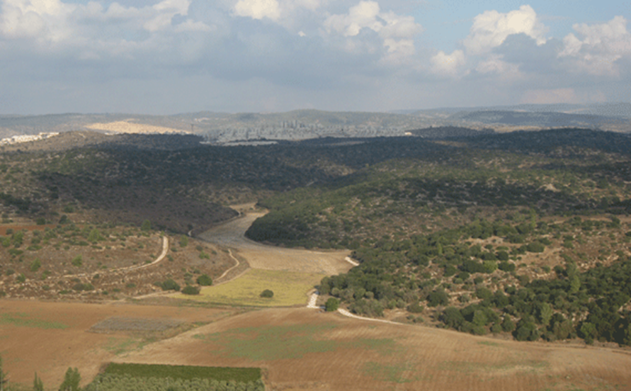 Old Testament Character – Considering the Bible